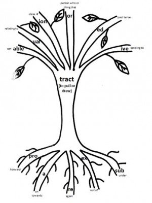 Orthography – Cracking the ABC Code